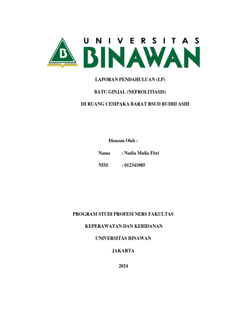 LP Nefrolitiasis Nadia Mulia Fitri 012341085 | PDF | Sains & Matematika