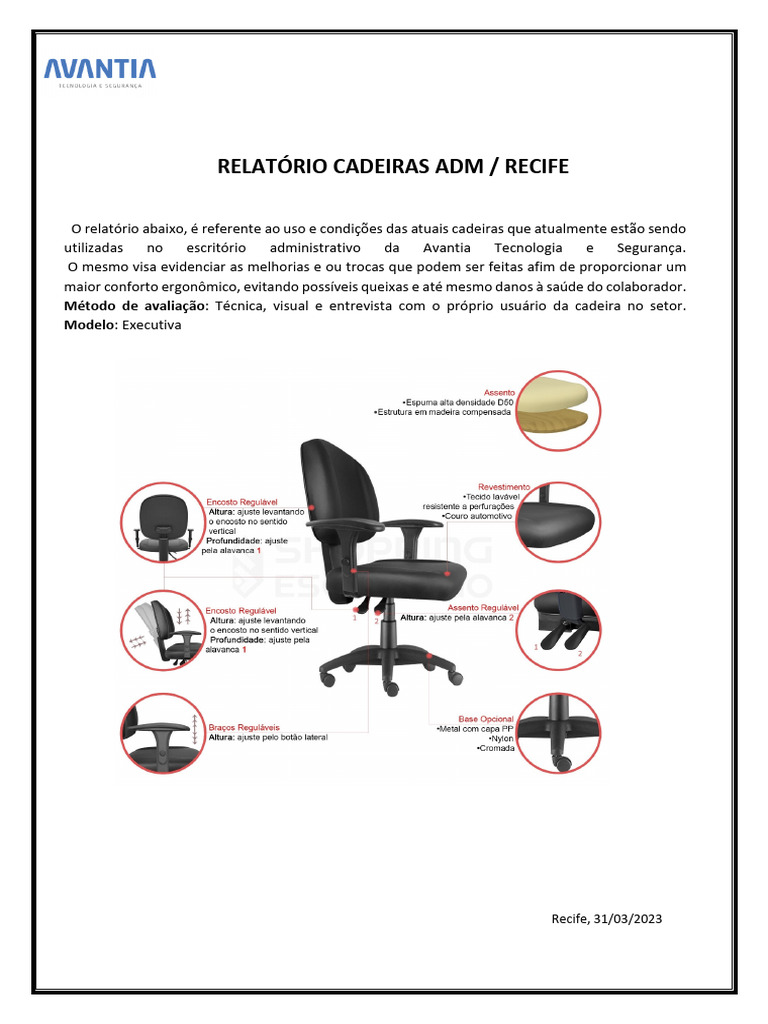 Relatório - cadeiras ADM- Avantia | PDF