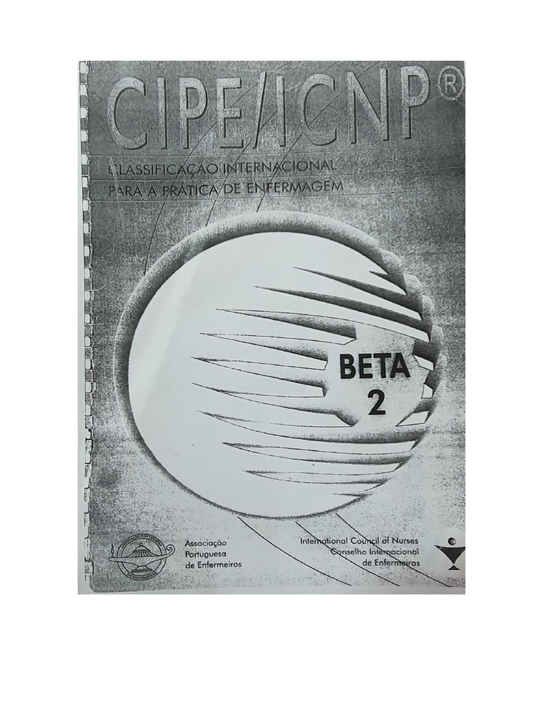 CIPE | PDF