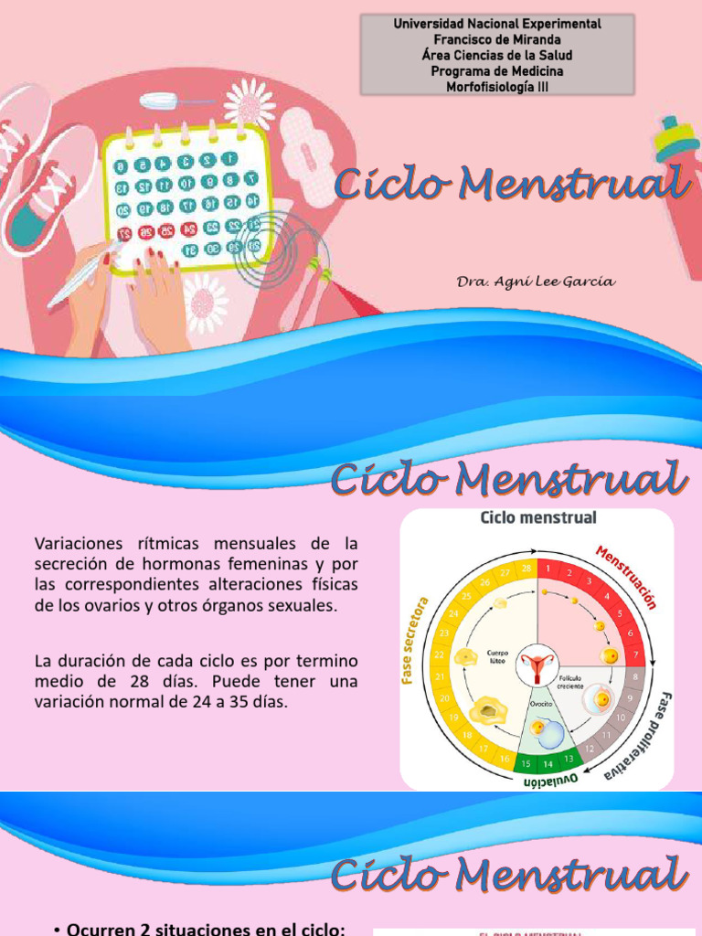 Ciclo Menstrual-1 | PDF | Ciclo menstrual | Menstruación