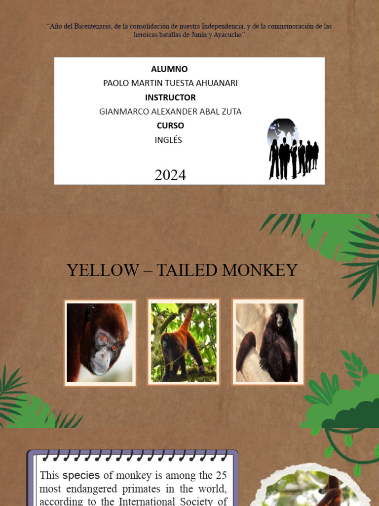 PPT.INGLES - ANIMAL EN EXTINCION | PDF