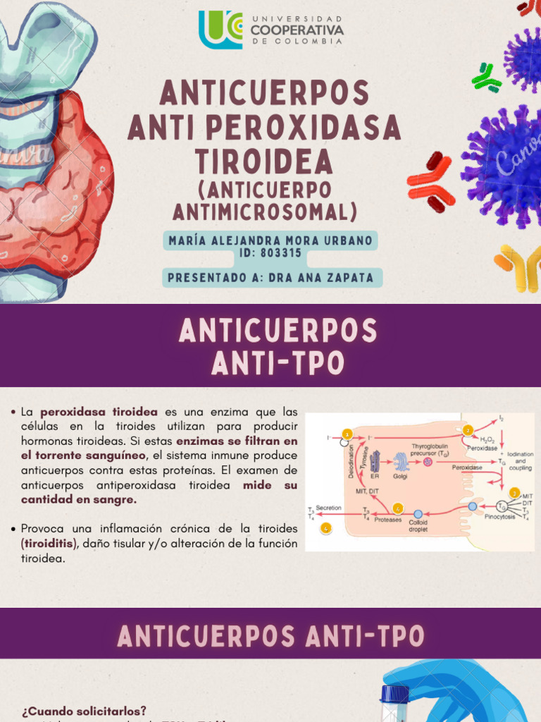 Anticuerpos Antiperoxidasa Tiroidea | PDF | Tiroides | Enfermedades y ...