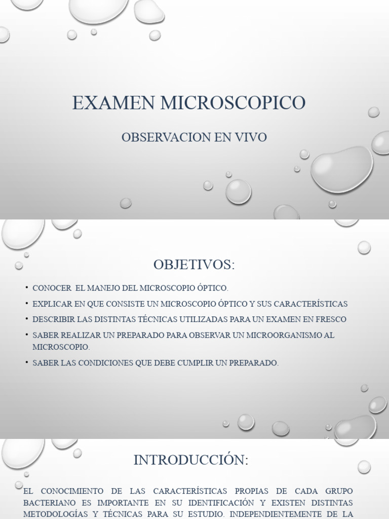 Examen Microscopico | PDF | Óptica | Resolución angular