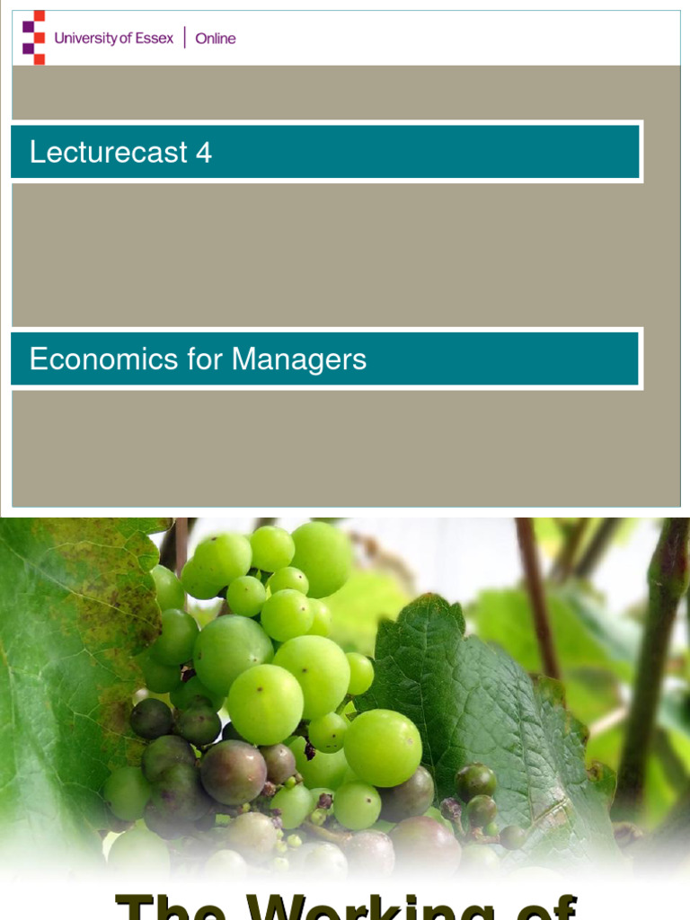 Chap04 EFM | PDF | Supply And Demand | Demand