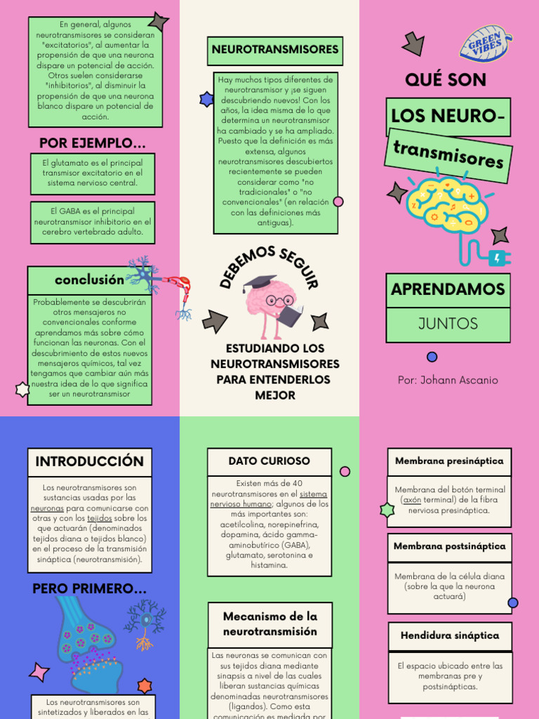 NEURO2 | Descargar gratis PDF | Sinapsis | Neurotransmisor