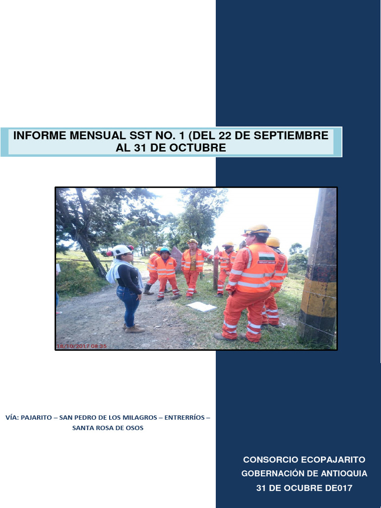 Modelo Informe SST | PDF | Auditoría | Seguridad vial