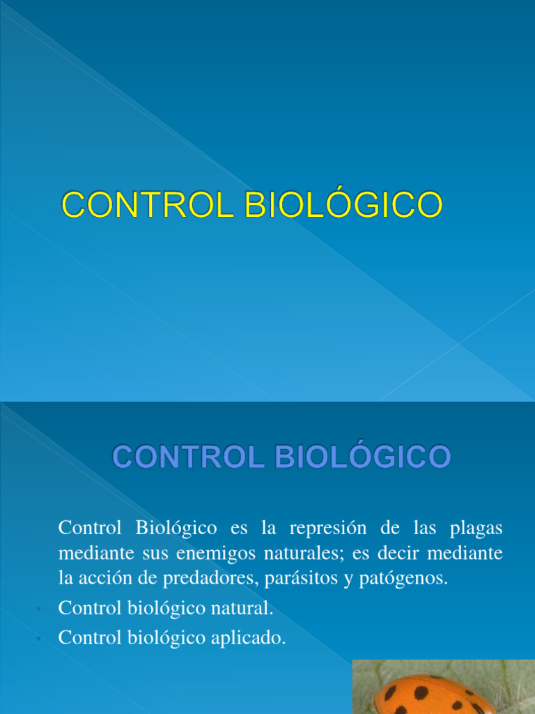 Control Biológico | PDF | Control biológico de plagas | Mosca