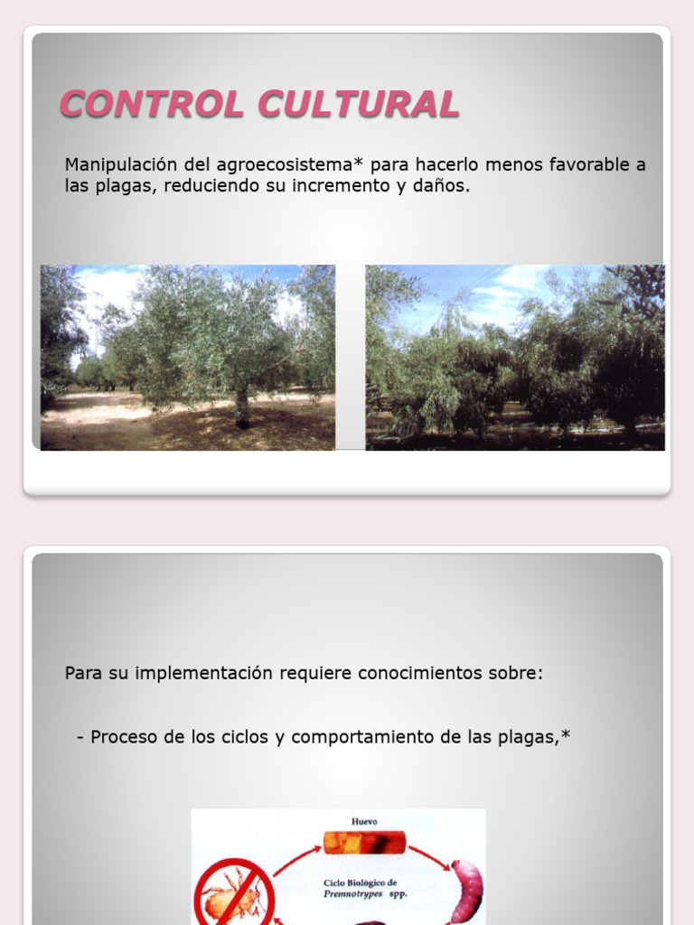 CONTROL CULTURAL | Descargar gratis PDF | Plaga (organismo) | Agricultura