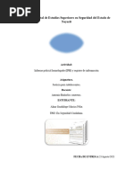 Lineamientos para El Llenado, Entrega, Recepción, Registro IPH | PDF | Bases de datos | Policía