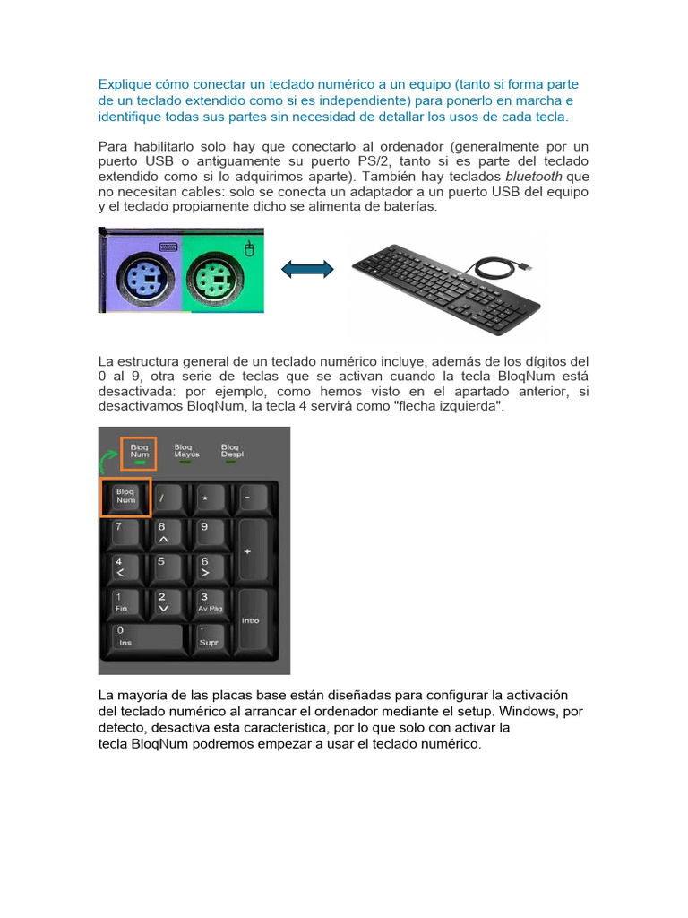 Puesta en Marcha Del Terminal Informático. El Teclado Numérico | PDF