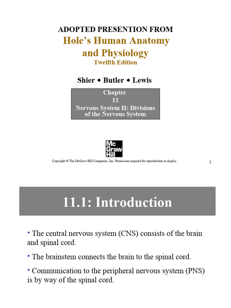 Chapter 11nervous System II Divisions of The Nervous System | PDF ...