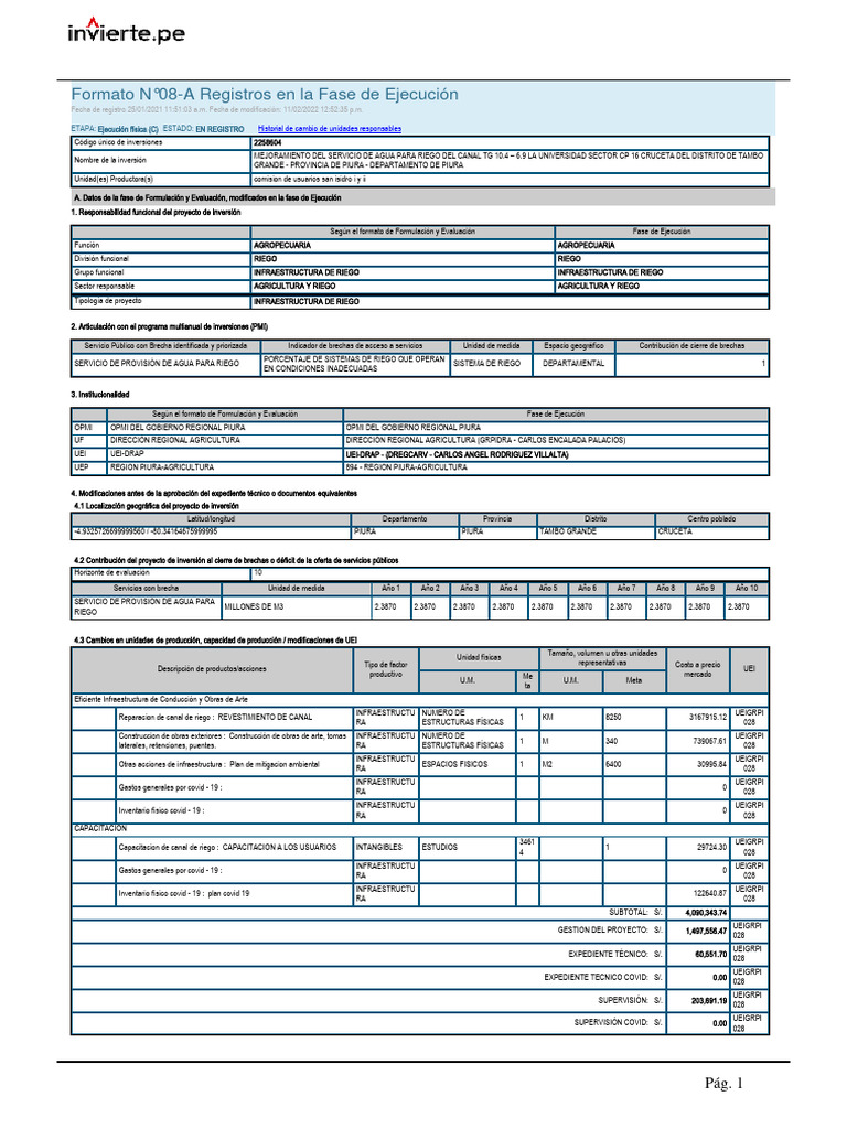 Formato 8B | PDF | Tasa interna de retorno | Economias