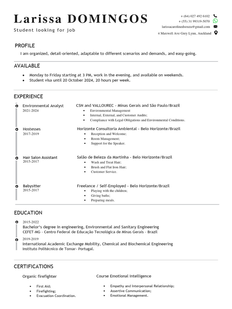 Larissa Domingos CV | PDF | Psychology | Social Psychology