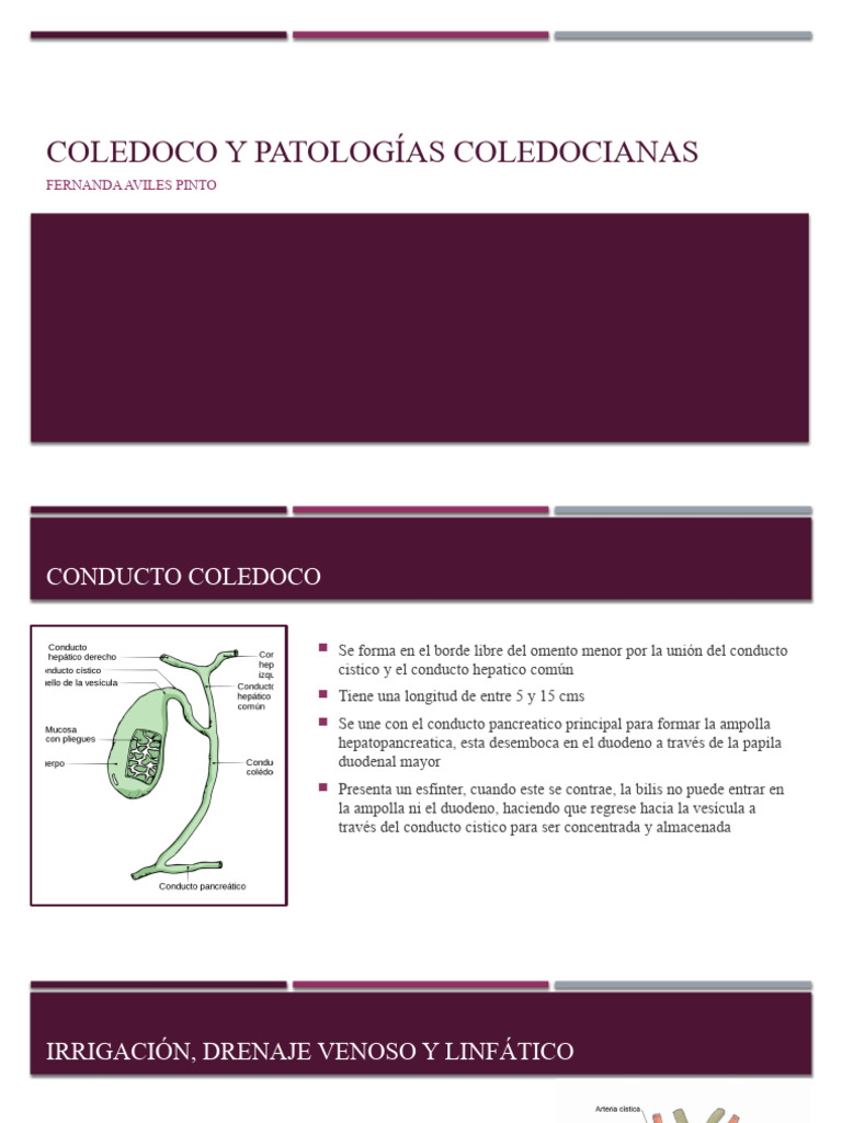 Colédoco y patologías coledocianas | PDF