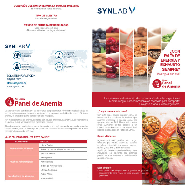 Perfil Anemia Brochure SYNLAB | Descargar gratis PDF | Anemia | Medicina