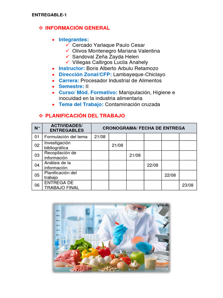 ENTREGABLE-1 (1) Senati | PDF | Fermentación | Alimentos