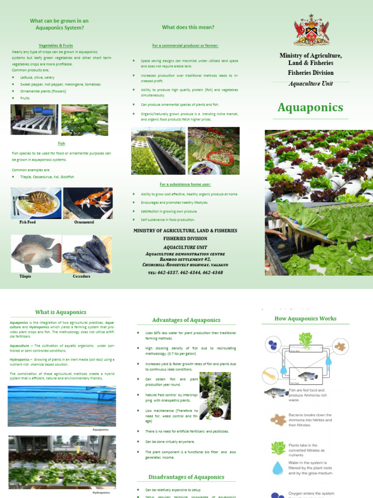Aquaponics Brochure | Download Free PDF | Aquaponics | Agriculture Aquaponics Brochure | Download Free PDF | Aquaponics | Agriculture
