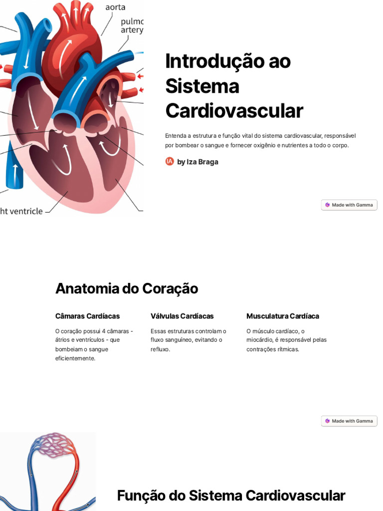 Introducao Ao Sistema CardioRESPIRATÓRIO | PDF | Coração | Sistema ...