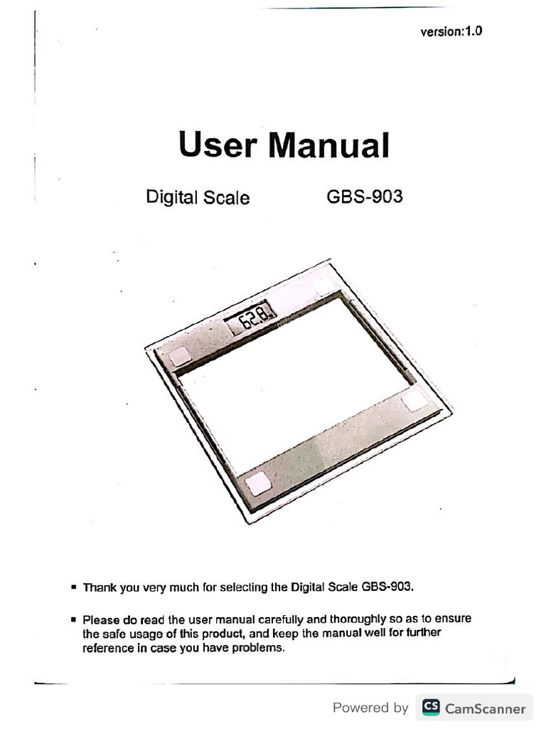 MANUAL BASCULA TRANSTEK | PDF