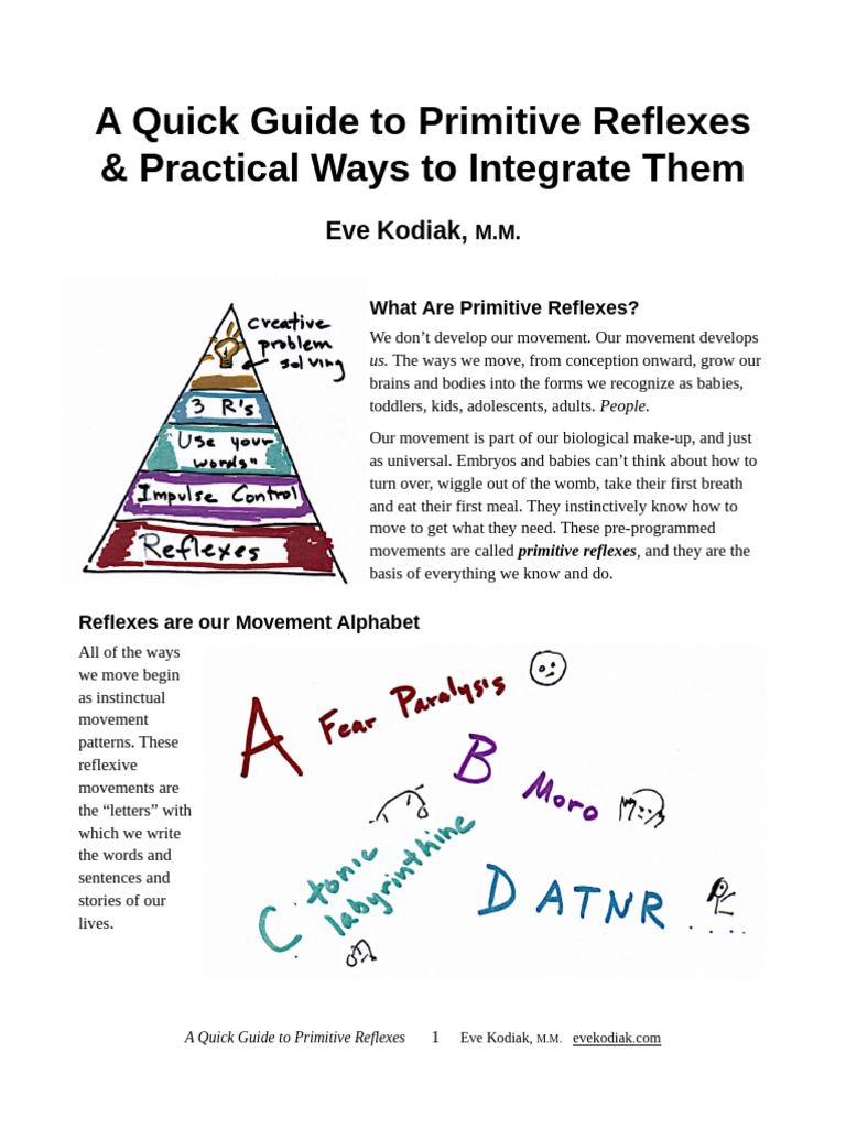 A+Quick+Guide+to+Reflexes+With+Slides | PDF | Fear | Brain