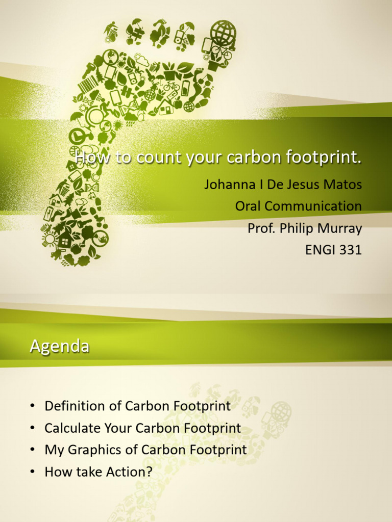 How To Count Your Carbon Footprint | PDF