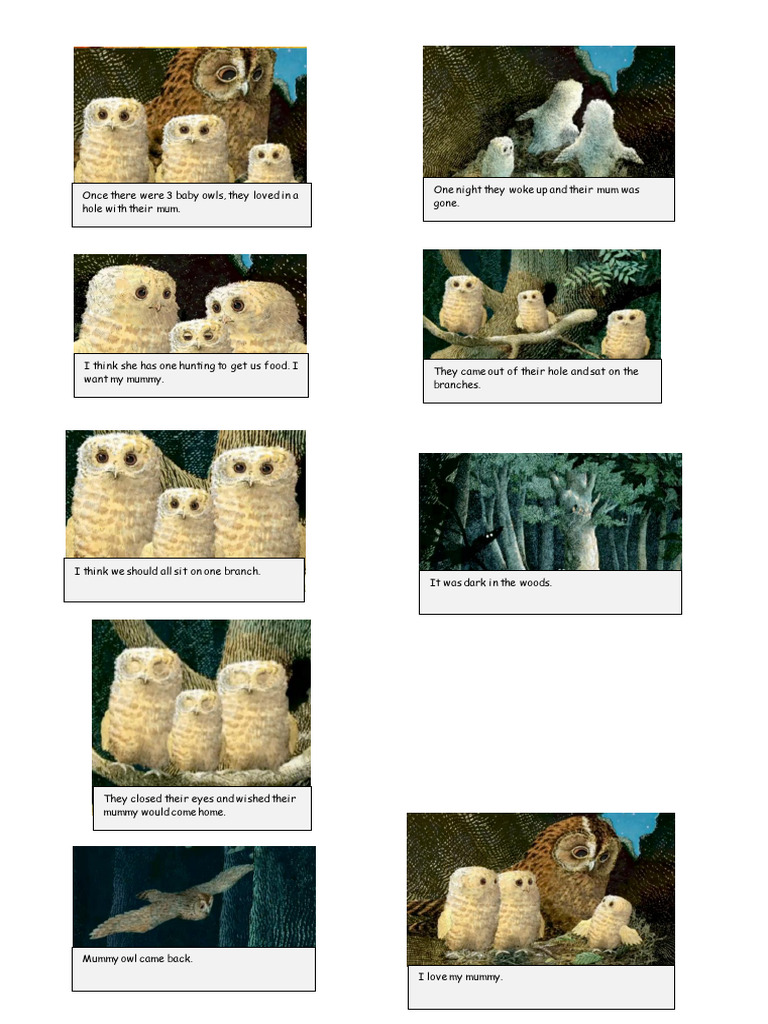 Baby Owls' Nighttime Adventure | PDF