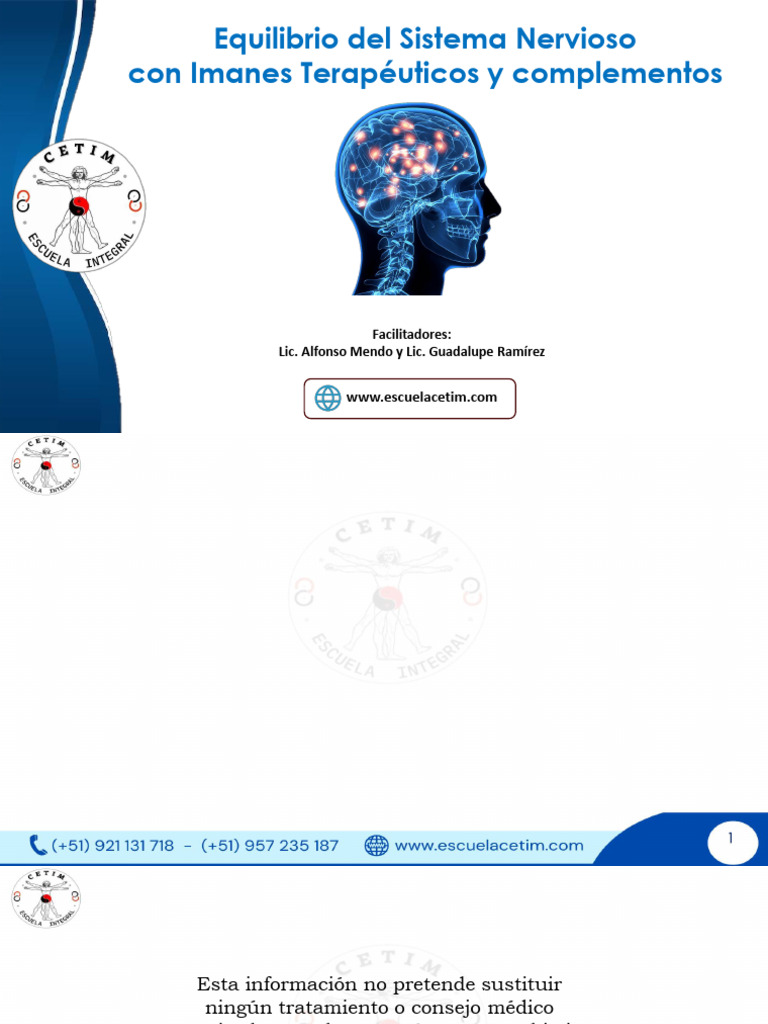 Equilibrio Nervioso con Imanes Terapéuticos | PDF | Cerebro | Sistema nervioso