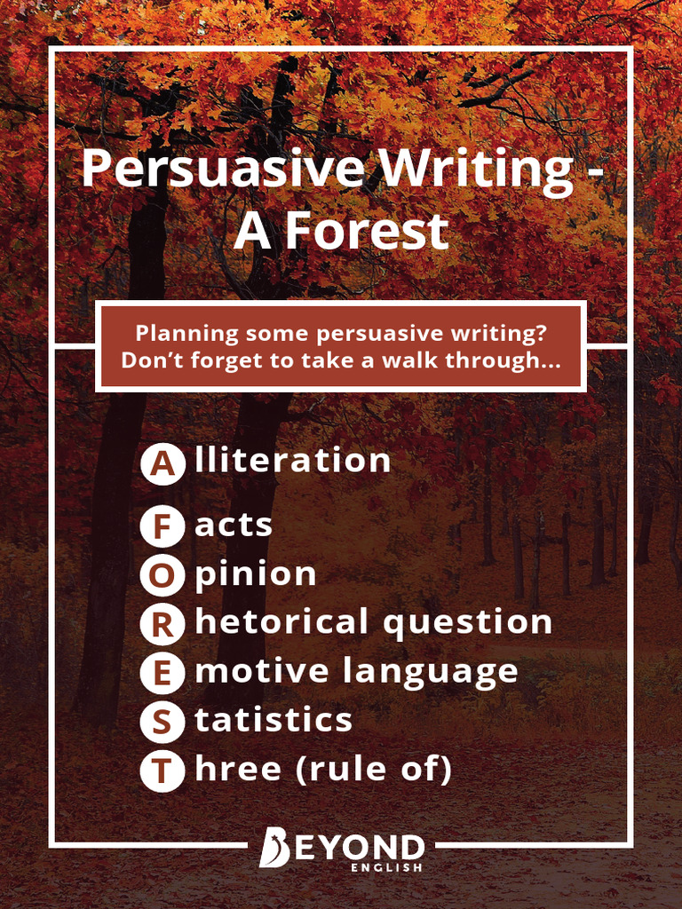 A Forest - Display Poster A3 | PDF
