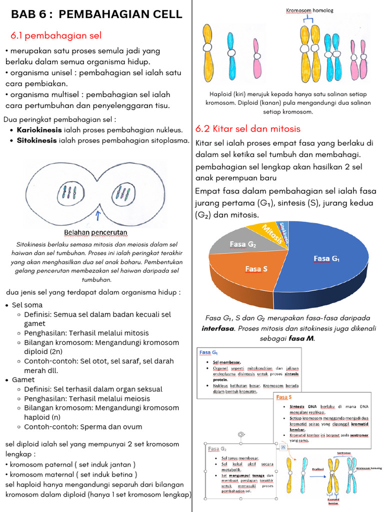 Nota Poket by Zeynhh | PDF