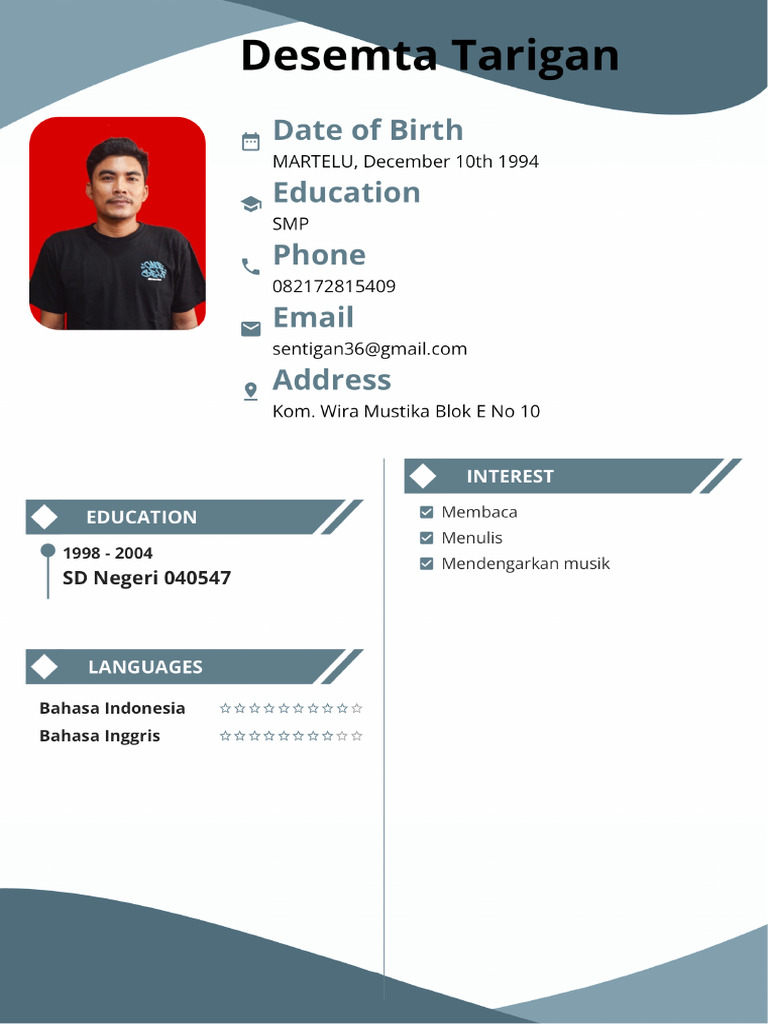 CV Abang | PDF