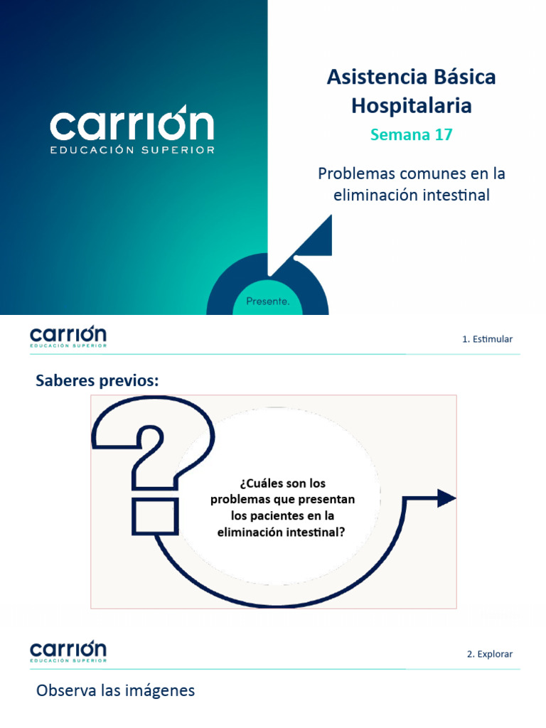 PS17 ET Asistencia Basica Hospitalaria | PDF | Estreñimiento | Heces
