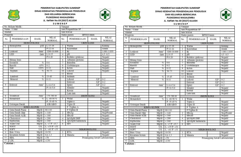 Lembar Laborat | PDF