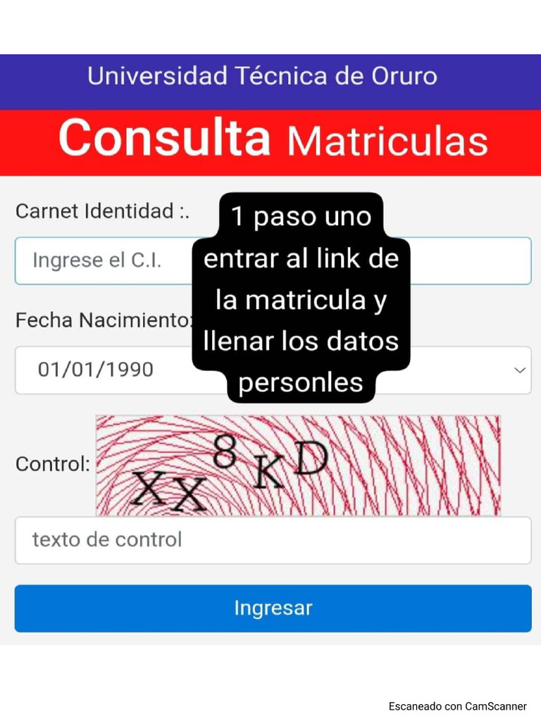 Guia para Poder Imprimir Tu Matricula Universitaria | PDF