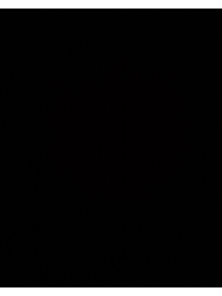 Black | PDF