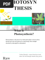 Photosynthesis Overview for Class 10 | PDF
