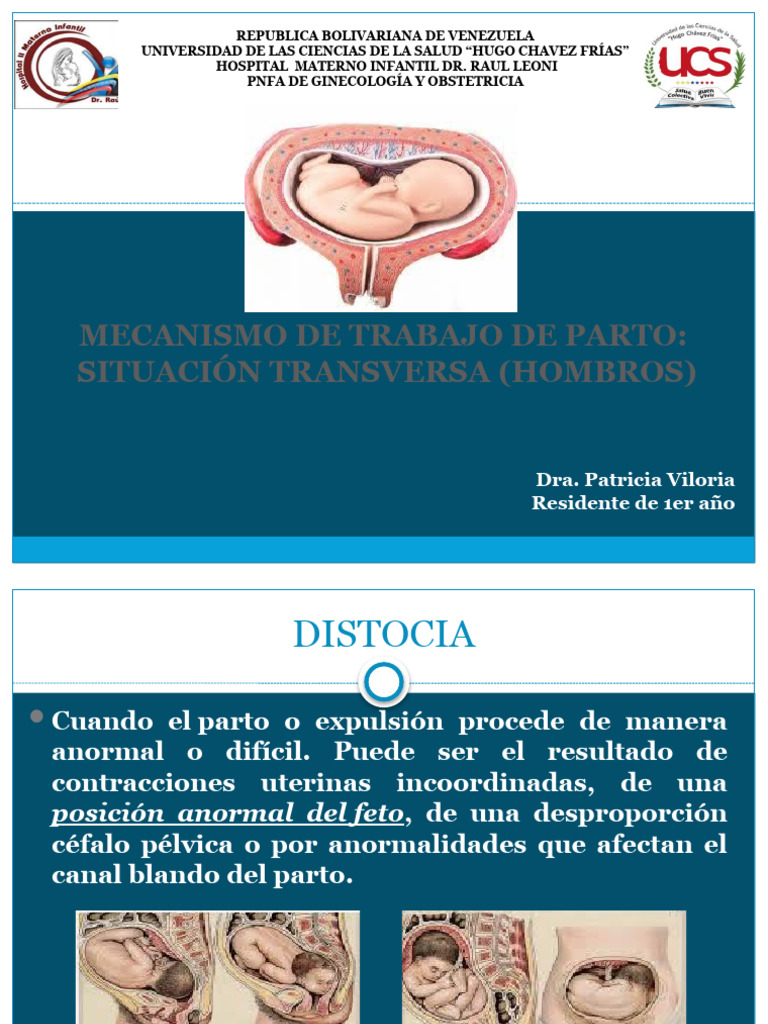 MDP Situacion Transversa | PDF | Parto | Feto