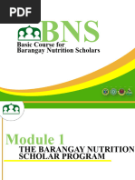 Monthly Accomplishment Report-Bns | PDF | Determinants Of Health | Food ...