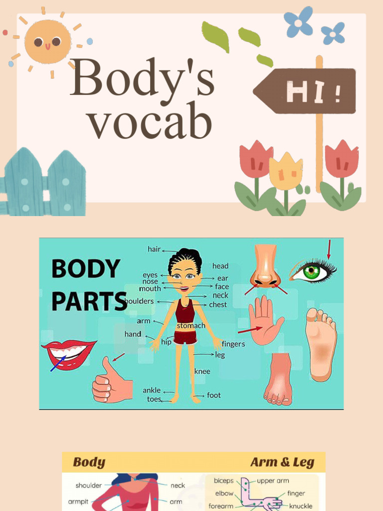 Body's Vocab | PDF