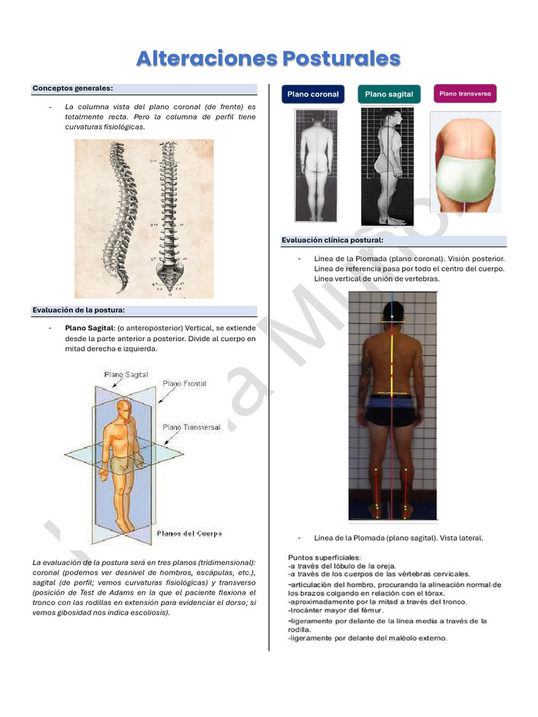 S7 - Alteraciones posturales | PDF | Escoliosis | Pie