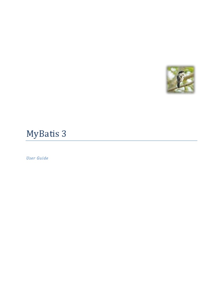 MyBatis 3 User Guide | PDF | Method (Computer Programming) | Data Type