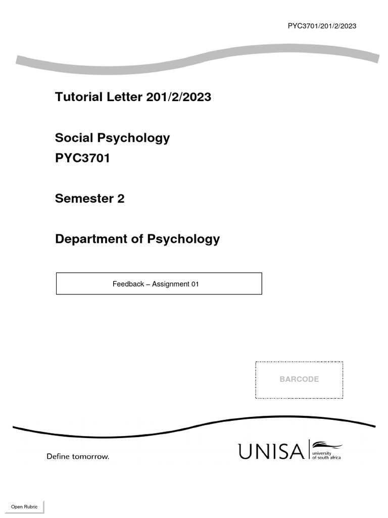 Social Psychology Assignment Feedback | PDF | Attitude (Psychology) | Prejudices