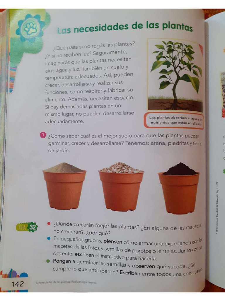Las Necesidades de Las Plantas | PDF