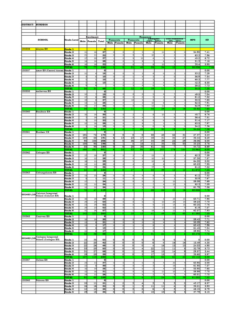 Numeracy Elementary | PDF