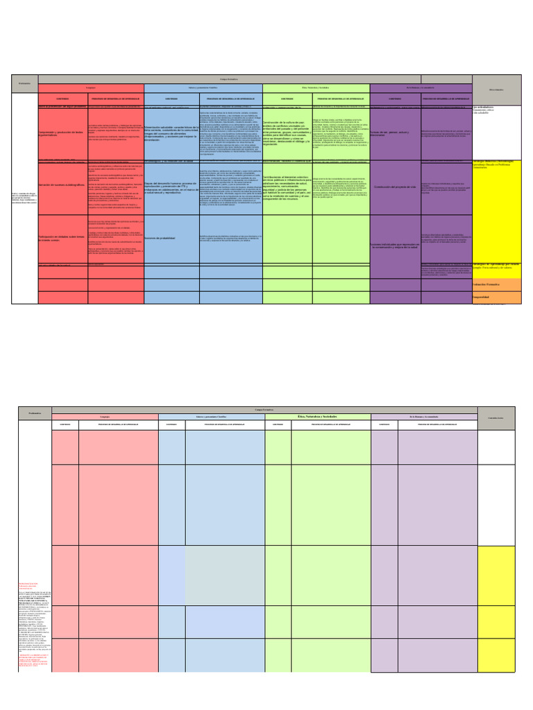 Fase 6. Segundo Sec. Programa Analítico Ejercicio Cam | PDF | Aprendizaje | Corazón