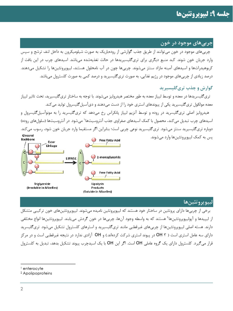 Discipline Biochemistry | PDF