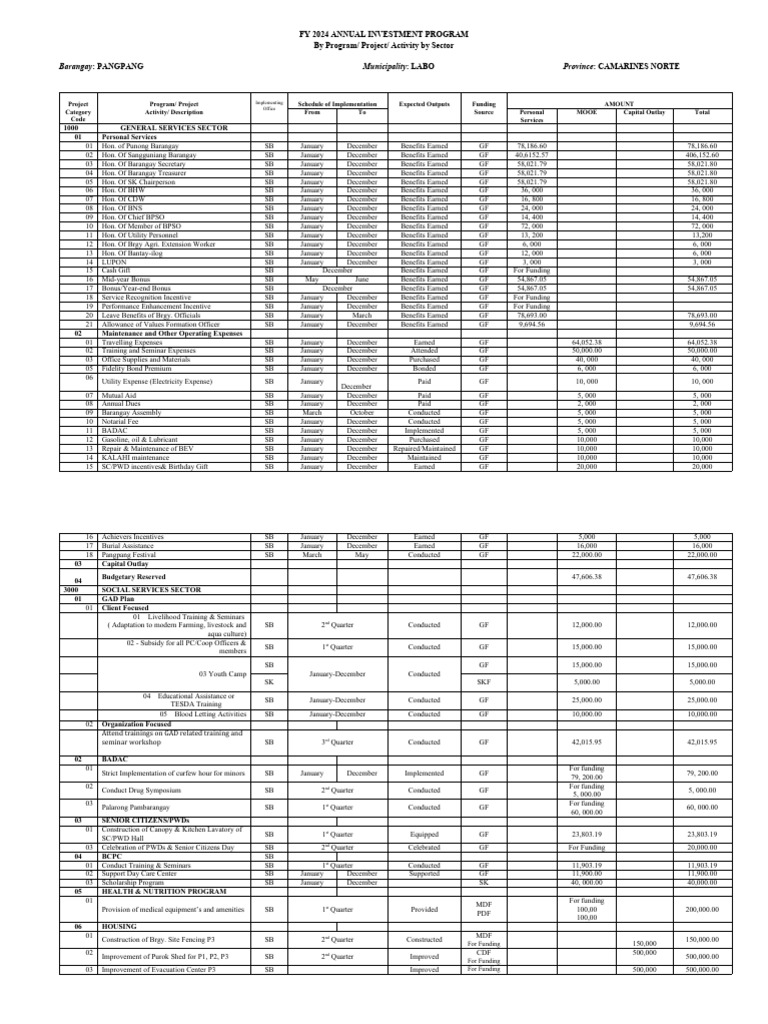 AIP 2024 Edited | PDF | Disaster Risk Reduction