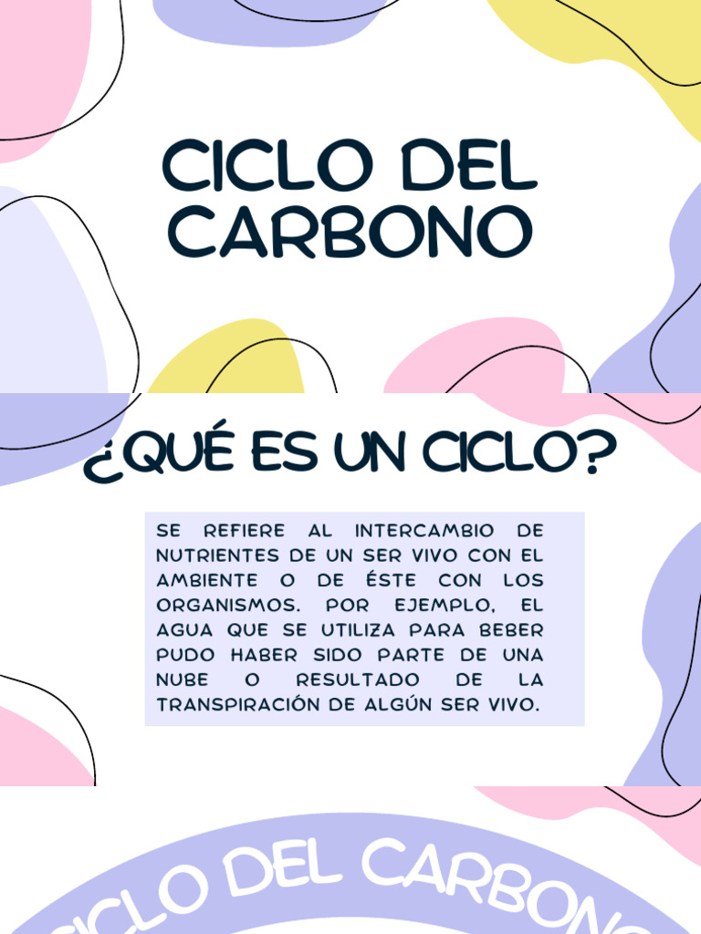 Ciclo Del Carbono | PDF | Ciencias sociales