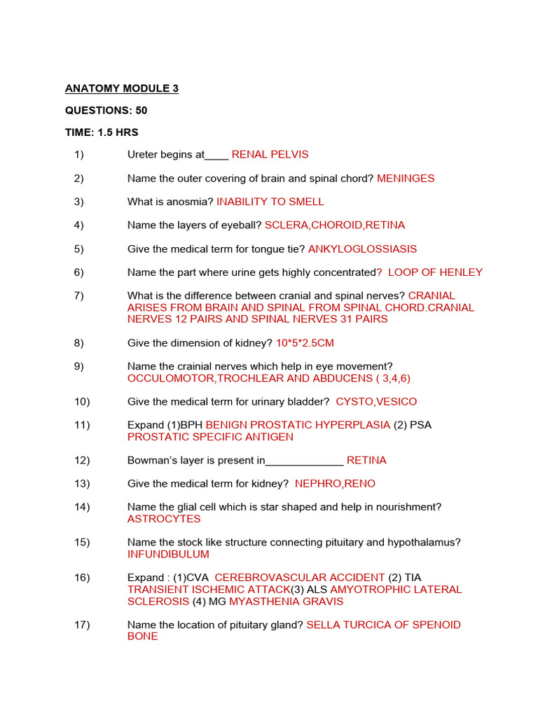 Anatomy Module 3-1 | PDF | Endocrine System | Kidney