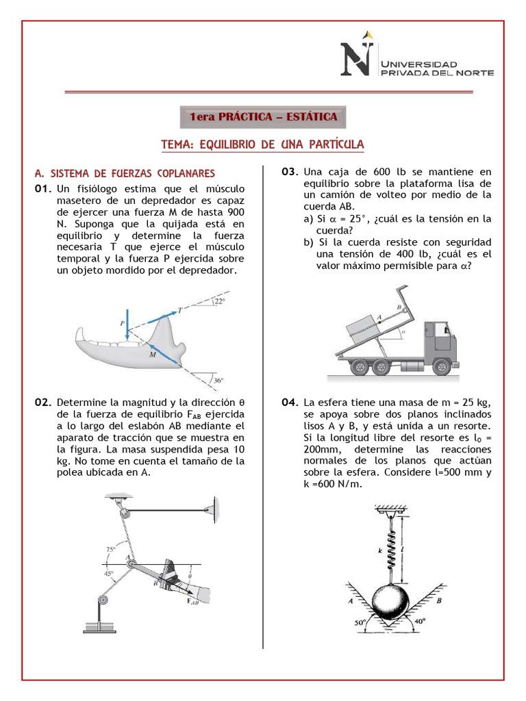 1era Práctica - EQUILIBRIO DE UNA PARTÍCULA | Descargar gratis PDF | Fricción | Estrés (Mecánica)
