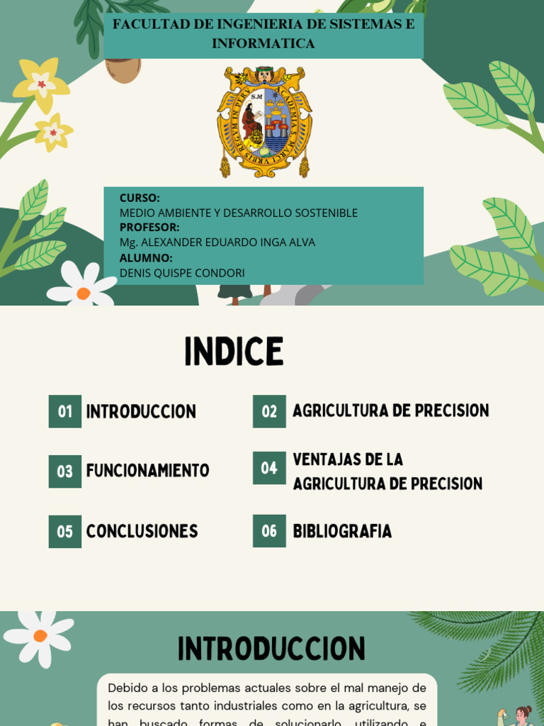 Denis Quispe Condori-S11 | PDF | Agricultura